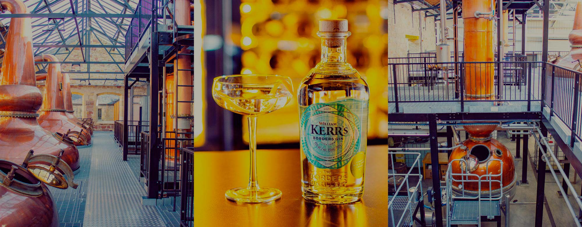 Events - International Scottish Gin Day